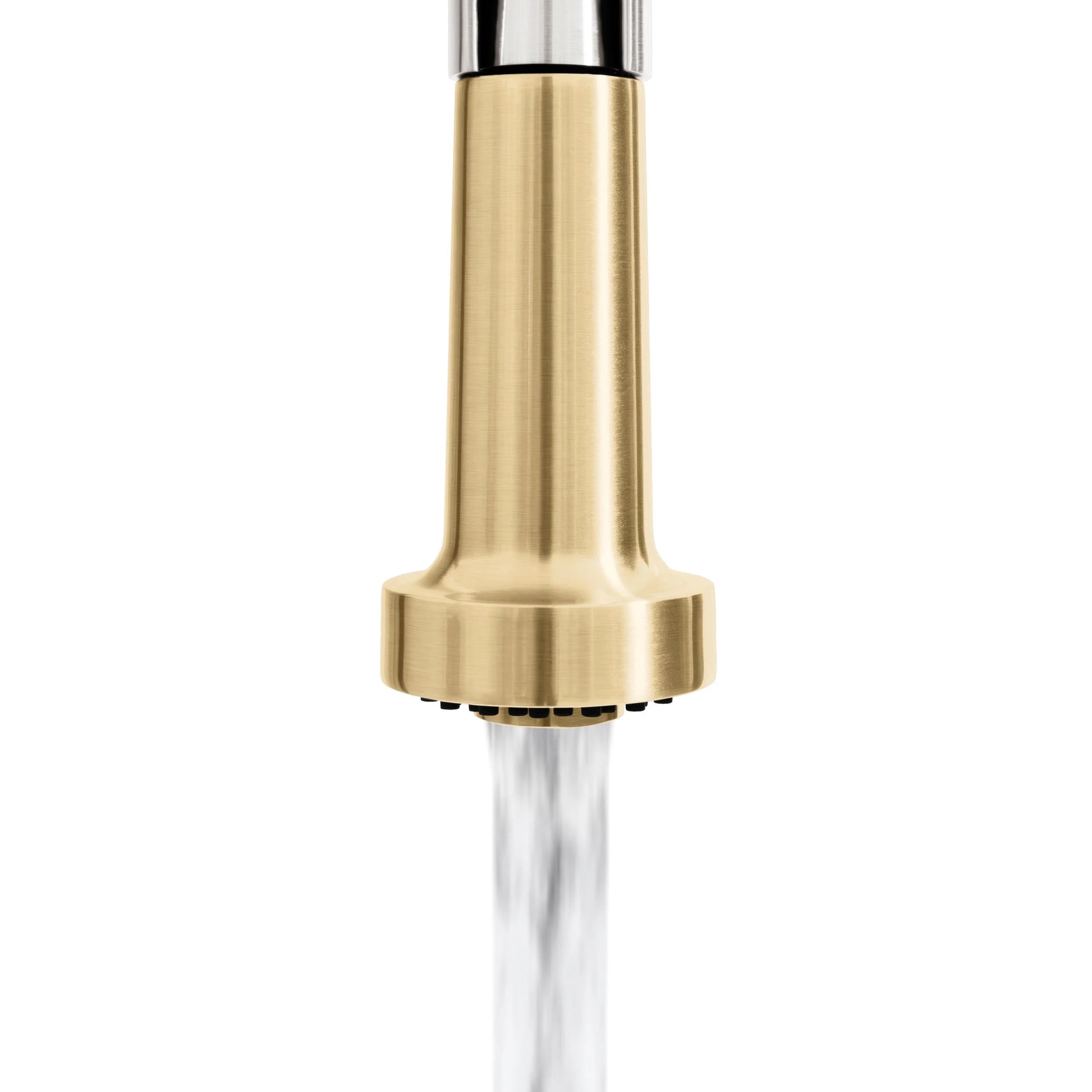 ZLINE Autograph Edition Apollo Pull-Down Spring Single Handle Kitchen ...